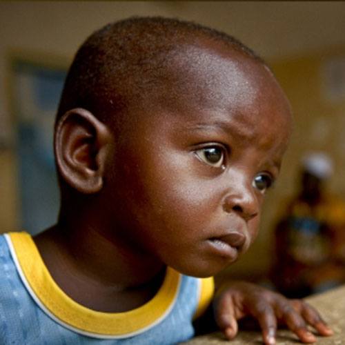 The Paleo Approach | Alsare